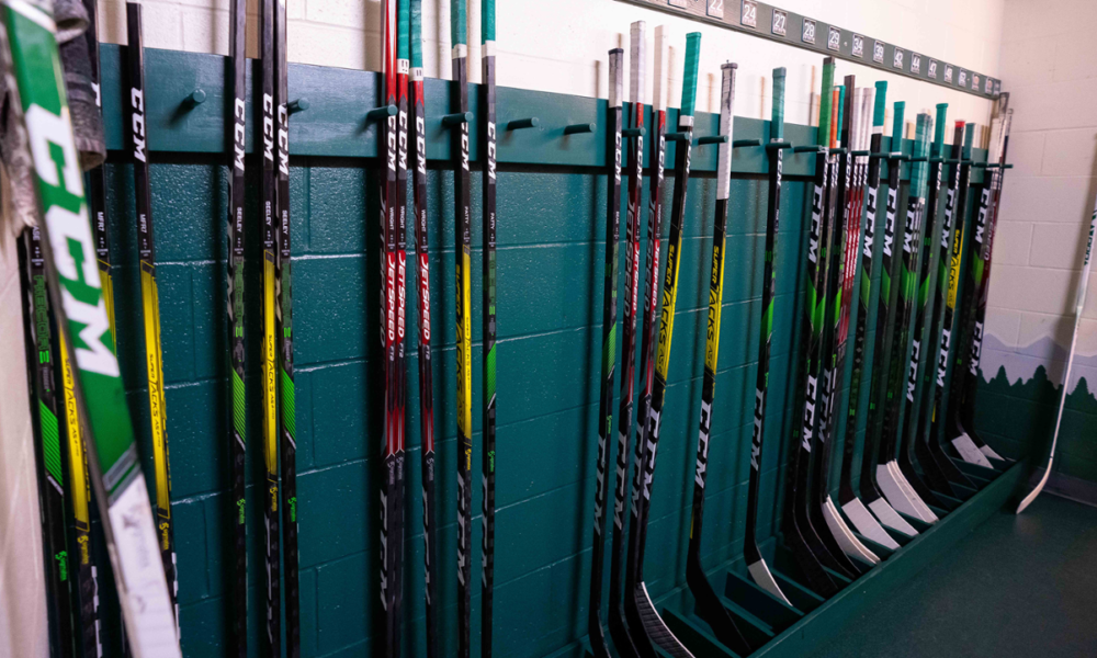 Historia del "Stick" - NHLmania